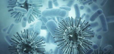 Galeries d'identification API® et APIWEB™